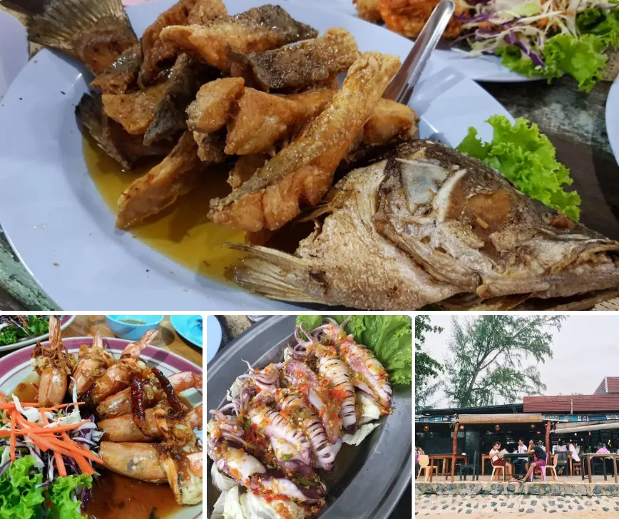 เดิน วิ่ง งานวันเต่าโลก Run World Turtle Day 2019 | 28 เมษายน 2562 | RUNLAH